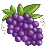 Huevos En Cartón Imagenes de archivo - Imagen: 13583154