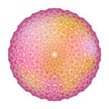 Vector Mandala On A White Background Stock Vector - Image: 53519729