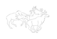 Deer fighting stock illustration. Illustration of mammal - 20053872