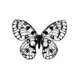 Butterfly Hand Drawing.Vector Stock Vector - Illustration of hand, gift ...