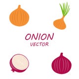 Set Of Onion Icons In Different Graphic Styles Stock Image - Image ...