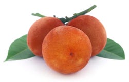 Mabolo velvet apple fruits stock image. Image of white - 26248863