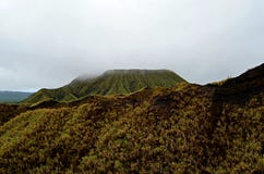 Volcano In Ambrym Island, Vanuatu Stock Photo - Image of panorama ...