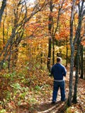 Into Fall stock photo. Image of deplete, autumn, cool, outdoors - 255322