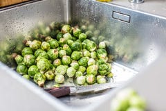Washing vegetables stock photo. Image of human, female - 27773964