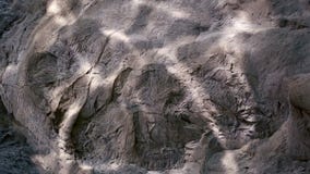 Water Ripple Caustic Light Reflections On Stone Wall Stock Video ...