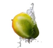 Mango splashing in water stock photo. Image of fruit - 15529744