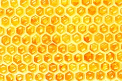 Watercolor Honeycomb Stock Illustration - Image: 42172483