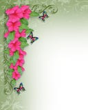 Butterfly Border Invitation Template Royalty Free Stock Photos - Image ...
