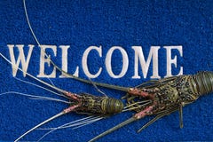 Blue Carpet Welcome Mat. Stock Images - Image: 25869934