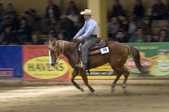 Horse Sliding Stop editorial photography. Image of quarter - 31441362