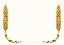 Wheat frame stock photo. Image of grass, agriculture, seed - 8986206