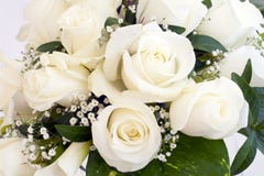 White Roses Stock Photos - Royalty Free Pictures