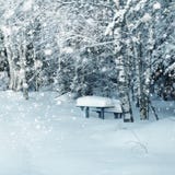 Quiet Winter Snowy Landscape Stock Photo - Image of coldness, highest ...