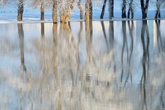 Winter Landscape With Reflection In The Water Stock Image - Image: 36550439