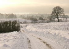 Evening road stock photo. Image of orange, country, travel - 451252