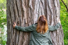 Happy female tree hugger stock image. Image of female - 29333155