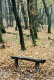 Bench Autumn Forest Stock Photos - Download 13,408 Images