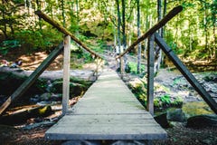 Wooden Bridge Over Small River In Green Park. Royalty Free Stock Photo ...