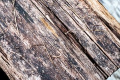 Old Cedar Wood Planks Stock Photos - 133 Images