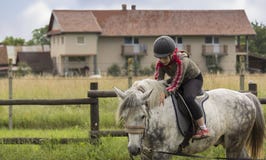 Learning to ride a horse stock photo. Image of little - 39041600