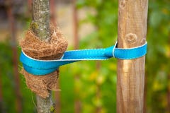 Wooden Fence Tied Rope Stock Photos, Images, & Pictures - 127 Images