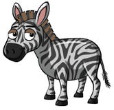 Sad zebra stock photo. Image of safari, animal, mammal - 1854474
