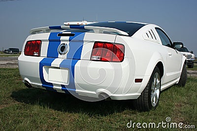 2007 Ford Mustang GT Rear Stock Photography - Image: 3910862
