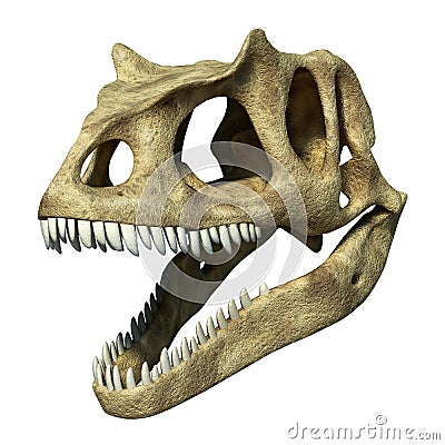 3 D Rendering Of An Allosaurus Skull. Royalty Free Stock Photo - Image ...