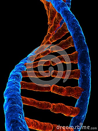3d Gene Royalty Free Stock Photography - Image: 4368777