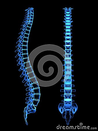 3d Spine Stock Photo - Image: 3658630
