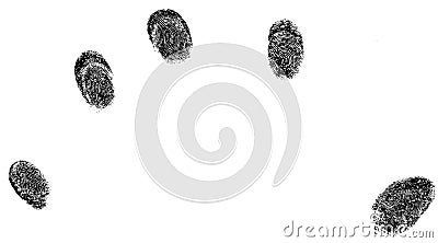 5 Black Fingerprints Stock Photos - Image: 2265883