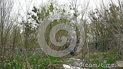 Abandoned Land with Garbage and Old Building Materials. Stock Video ...