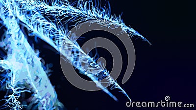 Abstract Bg Like Winter Frost Pattern in 3d Space. Particles Form ...
