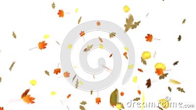Abstract Blurred Leaf Falling Seamless Loop 3D Alpha Channel Loop ...