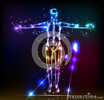 Abstract Human Body Background Vector Illustration | CartoonDealer.com ...