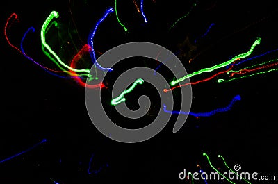 Abstract Light Trails On The Black Background, Photo Of Colorful Light ...