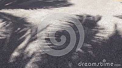 Abstract Shadow of Moving Tree Branch on Stone Texture Surface ...