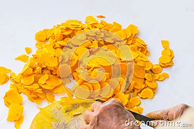 Zingiber,Turmeric Root, Cassumunar Ginger, Bengal Root,Zingiberaceae ...