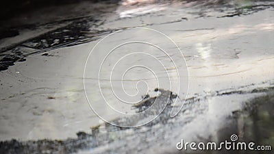 Abstract View of Drinkable Erupting Fresh Water Source in Nature ...