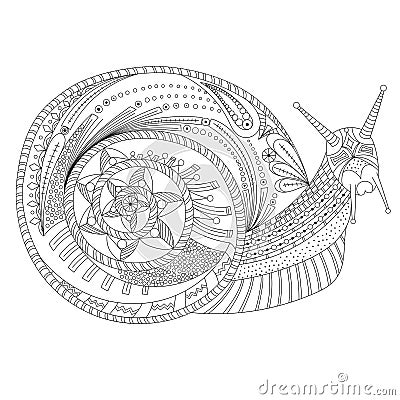 Abstract Zentangle Snails. Vector Illustration. Perfect For Coloring ...