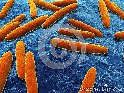 Acetobacter Stock Image - Image: 11953531