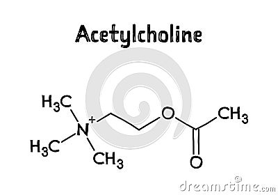Acetylcholine Structural Formula Of Molecular Structure Stock Image ...