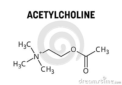 Acetylcholine Structural Formula Of Molecular Structure Vector ...