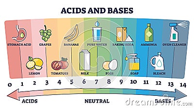 Acids, Neutral And Bases Substances Scale With Examples Outline Diagram ...