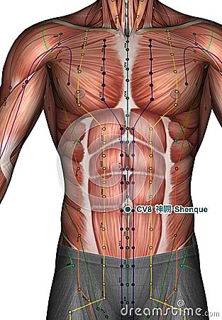 Acupuncture Point GB1 Tongziliao, 3D Illustration Stock Illustration ...
