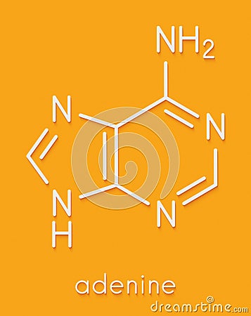 Adenine A, Adenine Purine Nucleobase Molecule. Base Present In DNA And ...