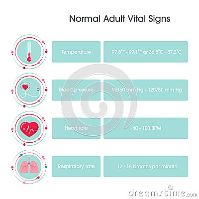 Normal Adult Vital Signs Vector Illustration Infographic ...