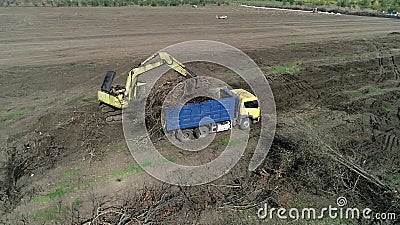 Aerial Footage of an Excavator Loading Tree Branches into a Dump Truck ...