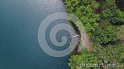 Aerial Top Down Drone Nature Landscape of Fallen Tree in Schlactensee ...